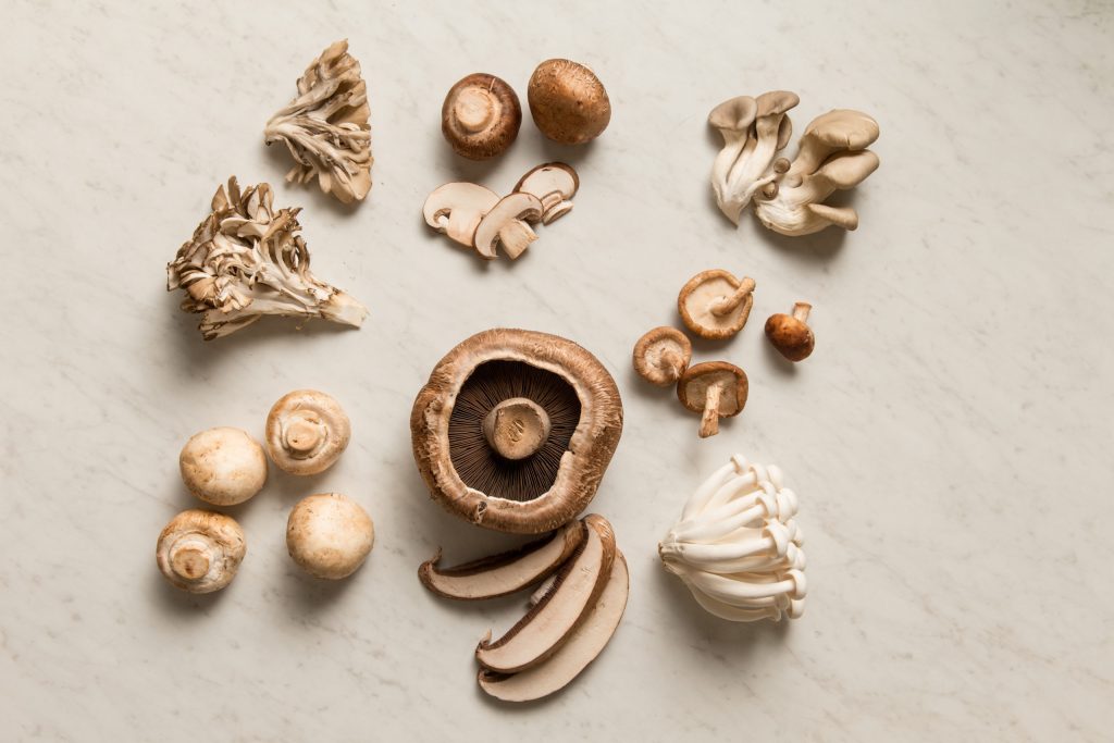 Your Complete Guide to Mushroom varieties - Celebs Living